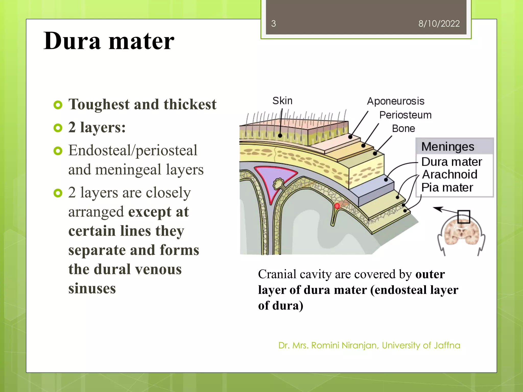 Dural folds dural venous sinuses.pdf