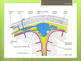 Dural folds dural venous sinuses.pdf | Ear, Nose and Throat Conditions ...