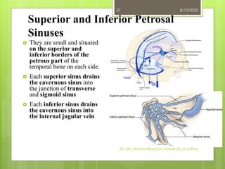 Dural folds dural venous sinuses.pdf | Ear, Nose and Throat Conditions ...