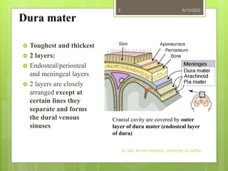 Dural folds dural venous sinuses.pdf | Ear, Nose and Throat Conditions ...