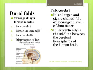 Dural folds dural venous sinuses.pdf | Ear, Nose and Throat Conditions ...