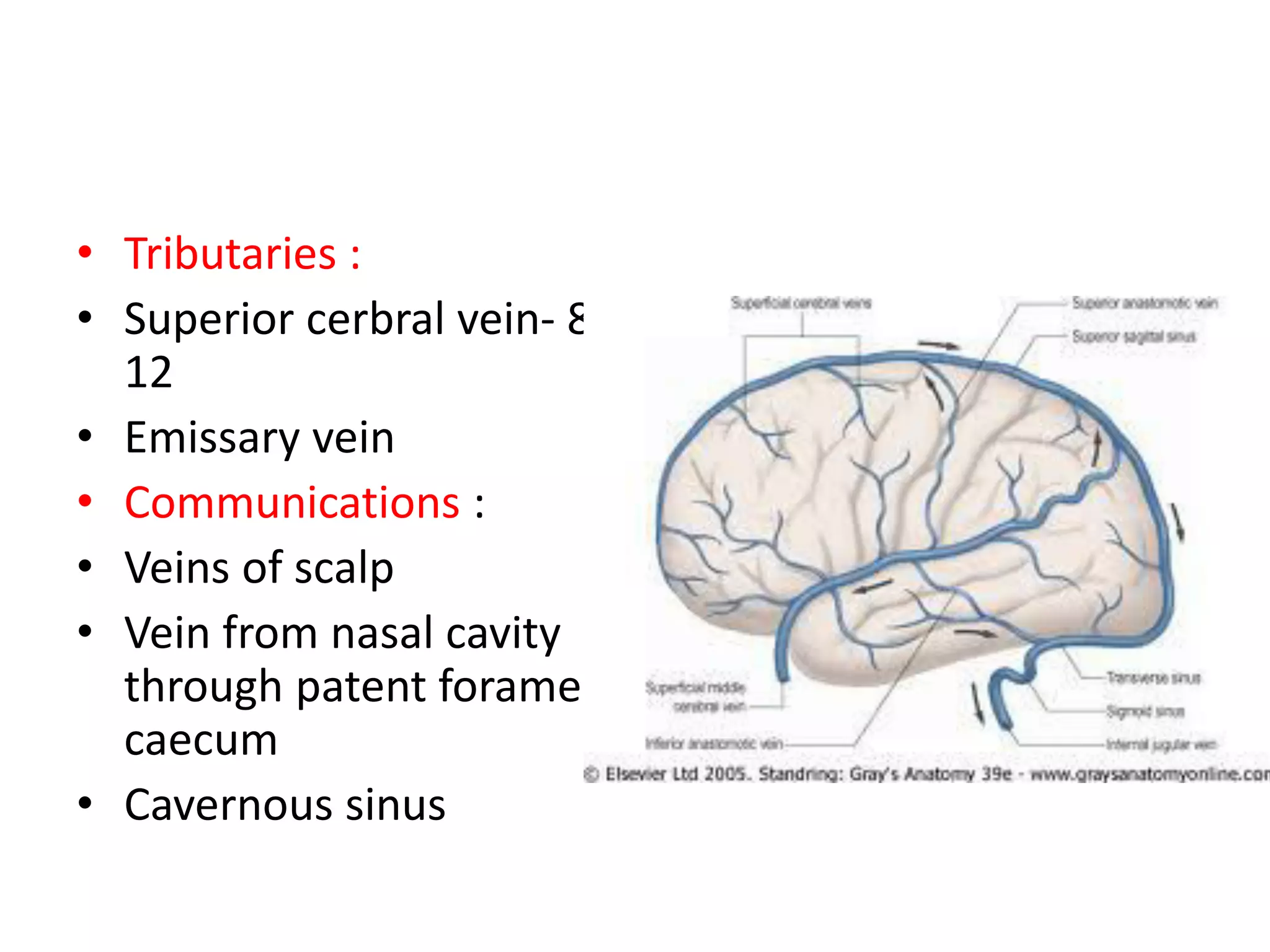 Dural venous sinuses | PDF