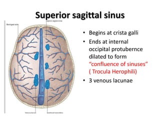 Dural venous sinuses | PDF