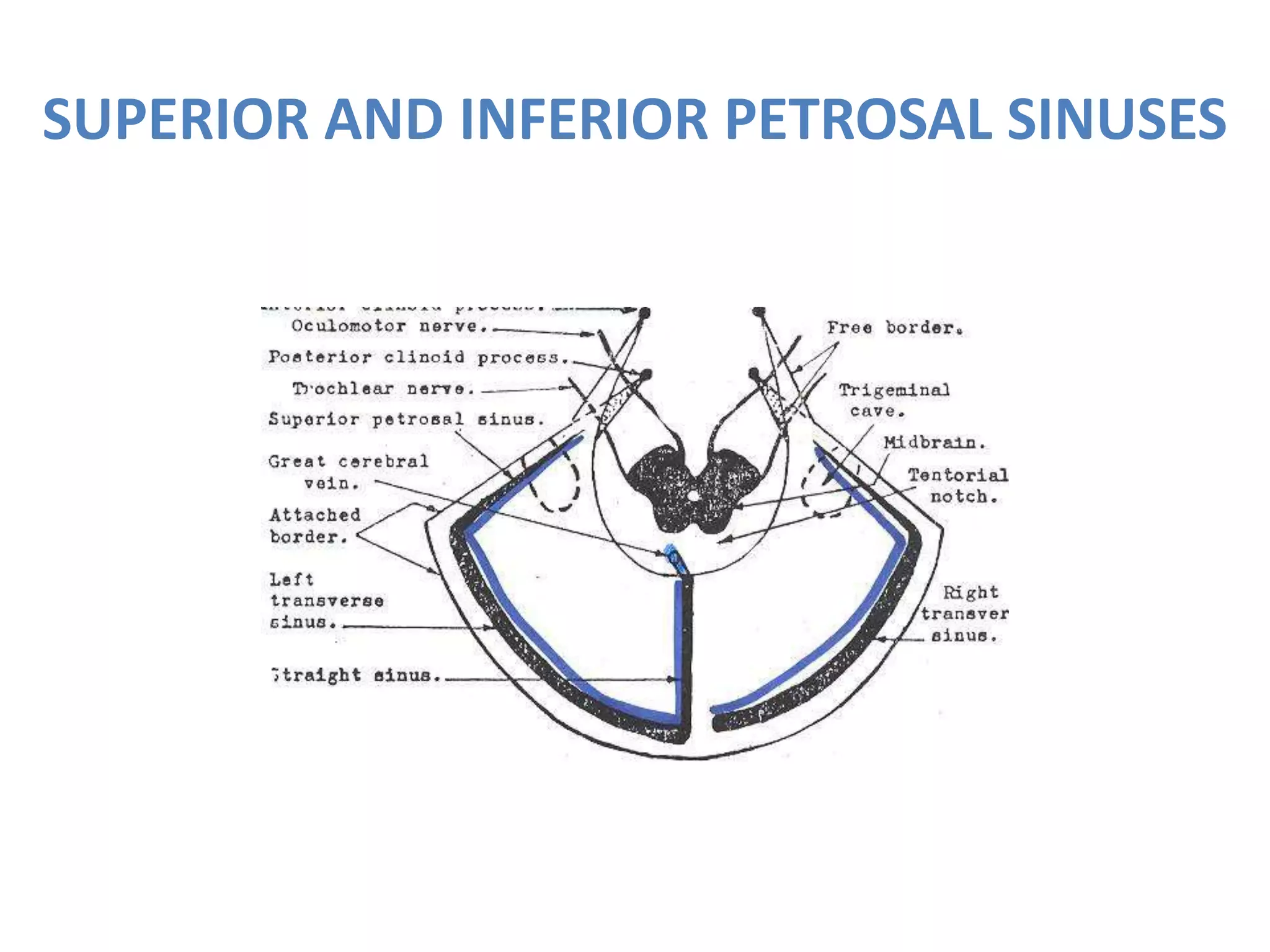 DURAL VENOUS SINUSES WITH CLINICAL ANATOMY 2021 | PPTX