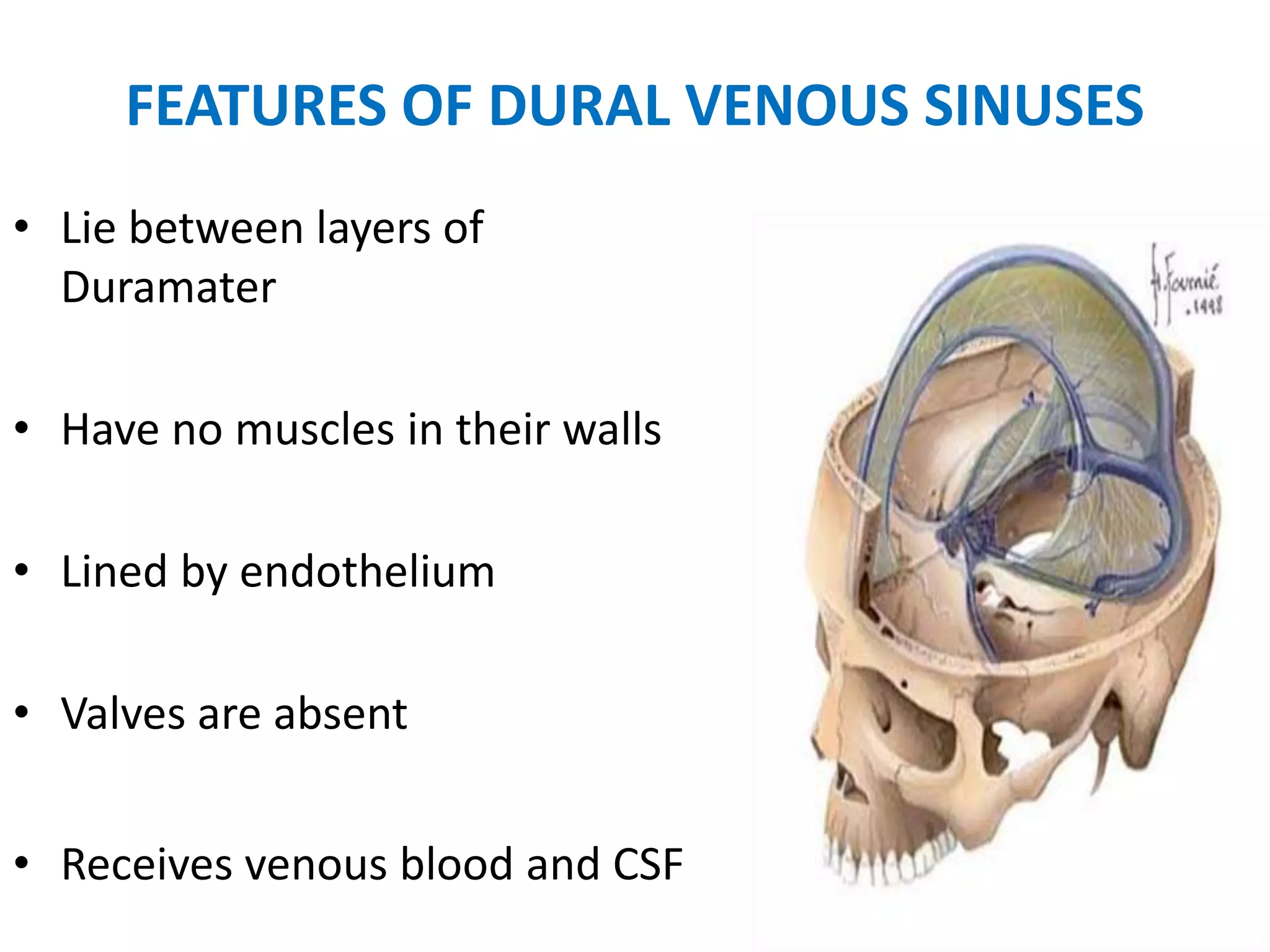 DURAL VENOUS SINUSES WITH CLINICAL ANATOMY 2021 | PPTX