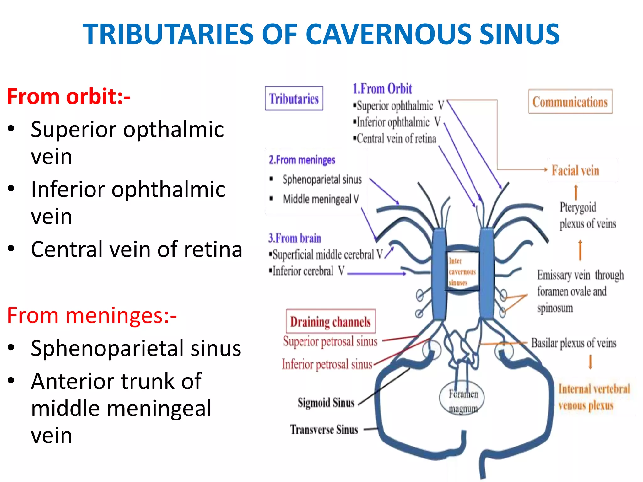 DURAL VENOUS SINUSES WITH CLINICAL ANATOMY 2021 | PPTX