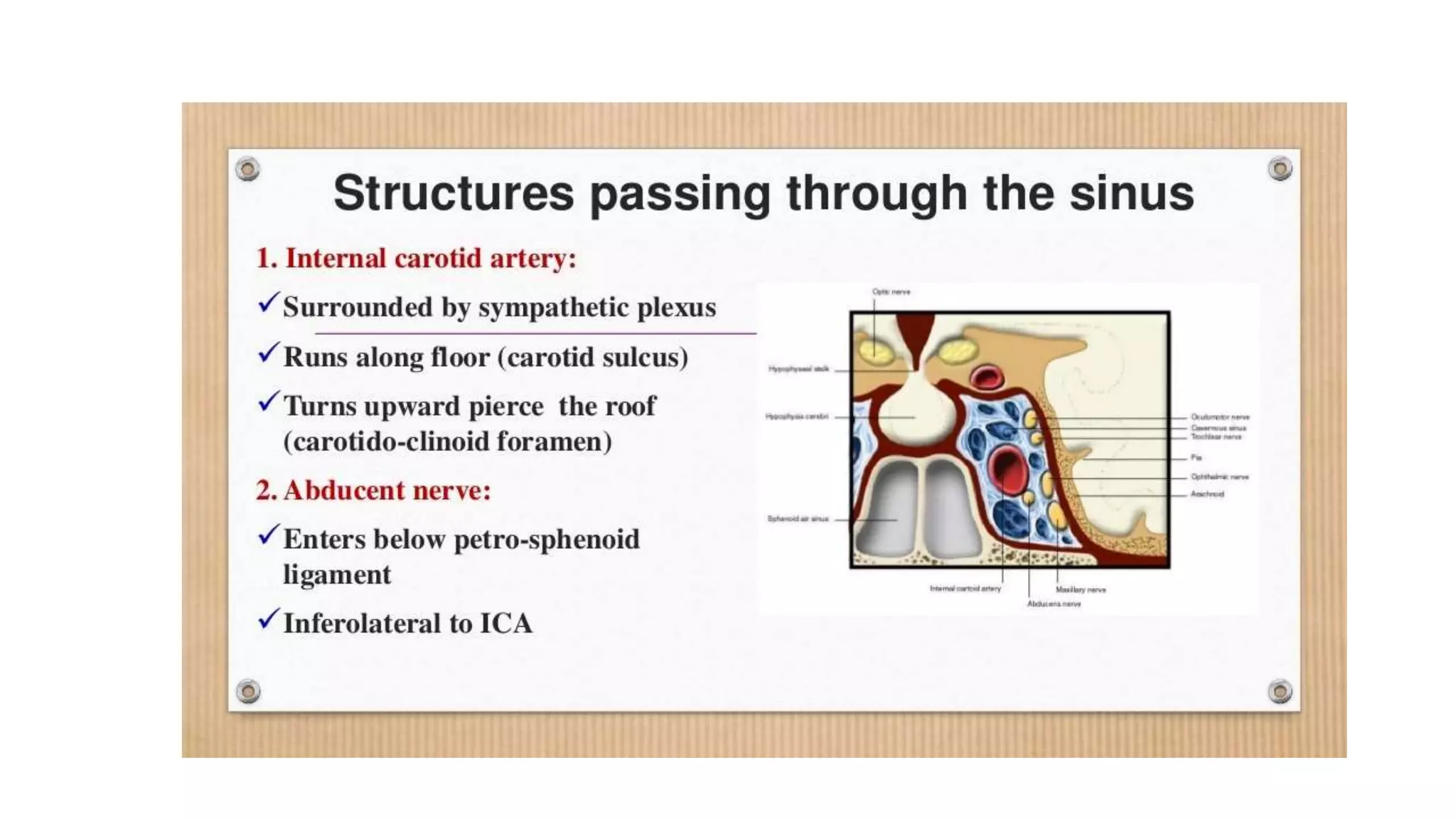 Dural venous sinuses - Dr. Rahul Singh Thakur | PPTX