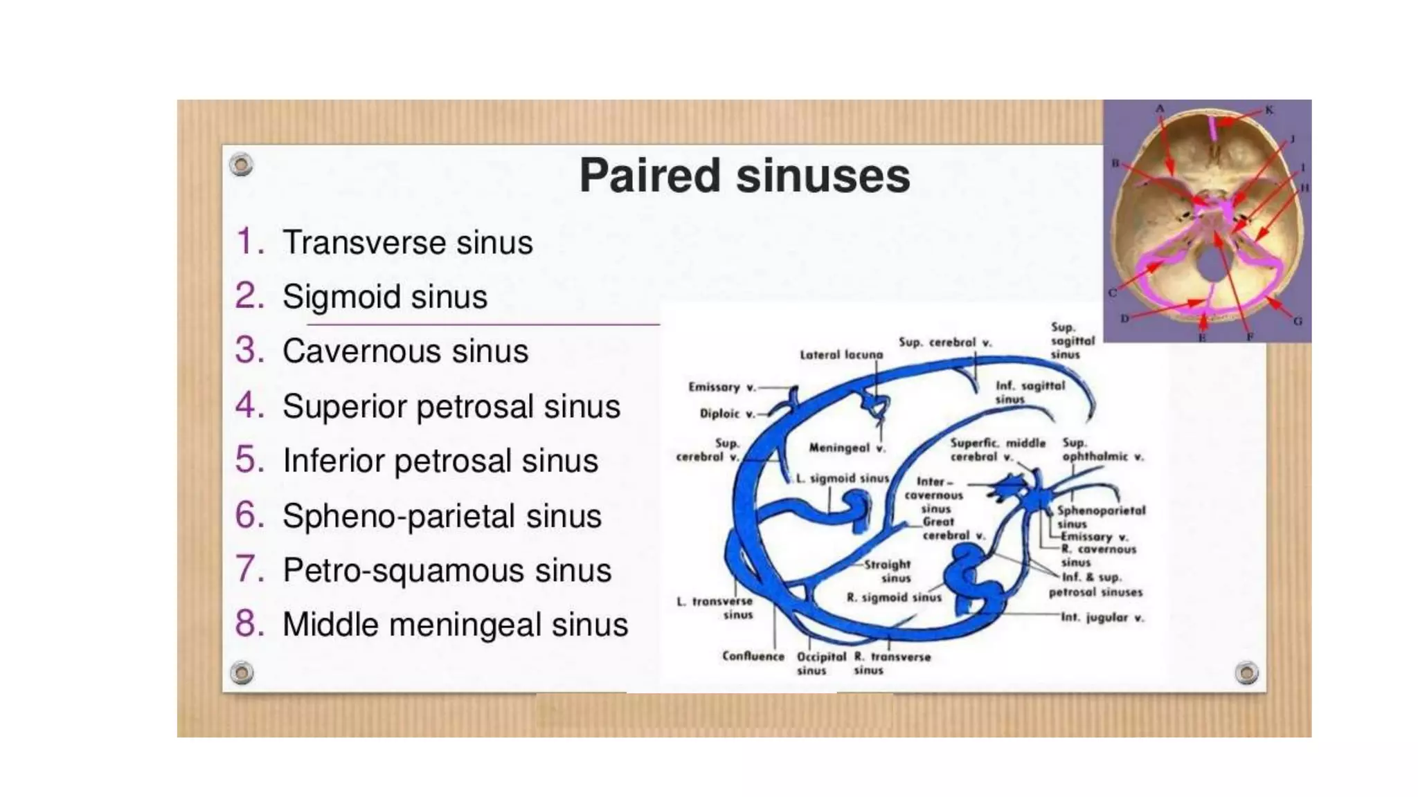 Dural venous sinuses - Dr. Rahul Singh Thakur | PPTX