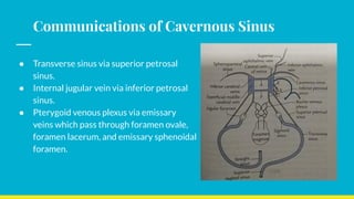 DURAL VENOUS SINUSES AND CAVERNOUS SINUSES .pdf