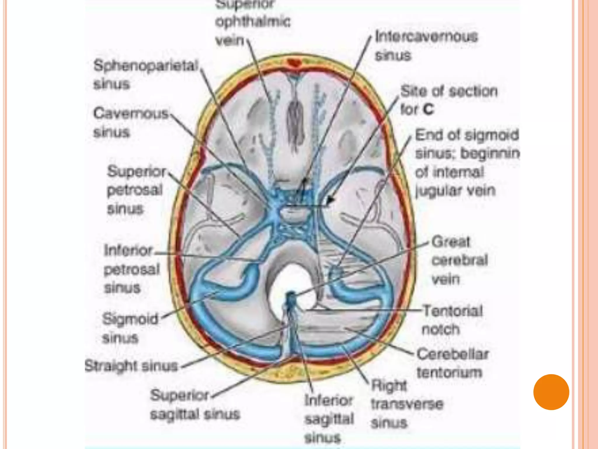 Dural venous sinuses | PPTX
