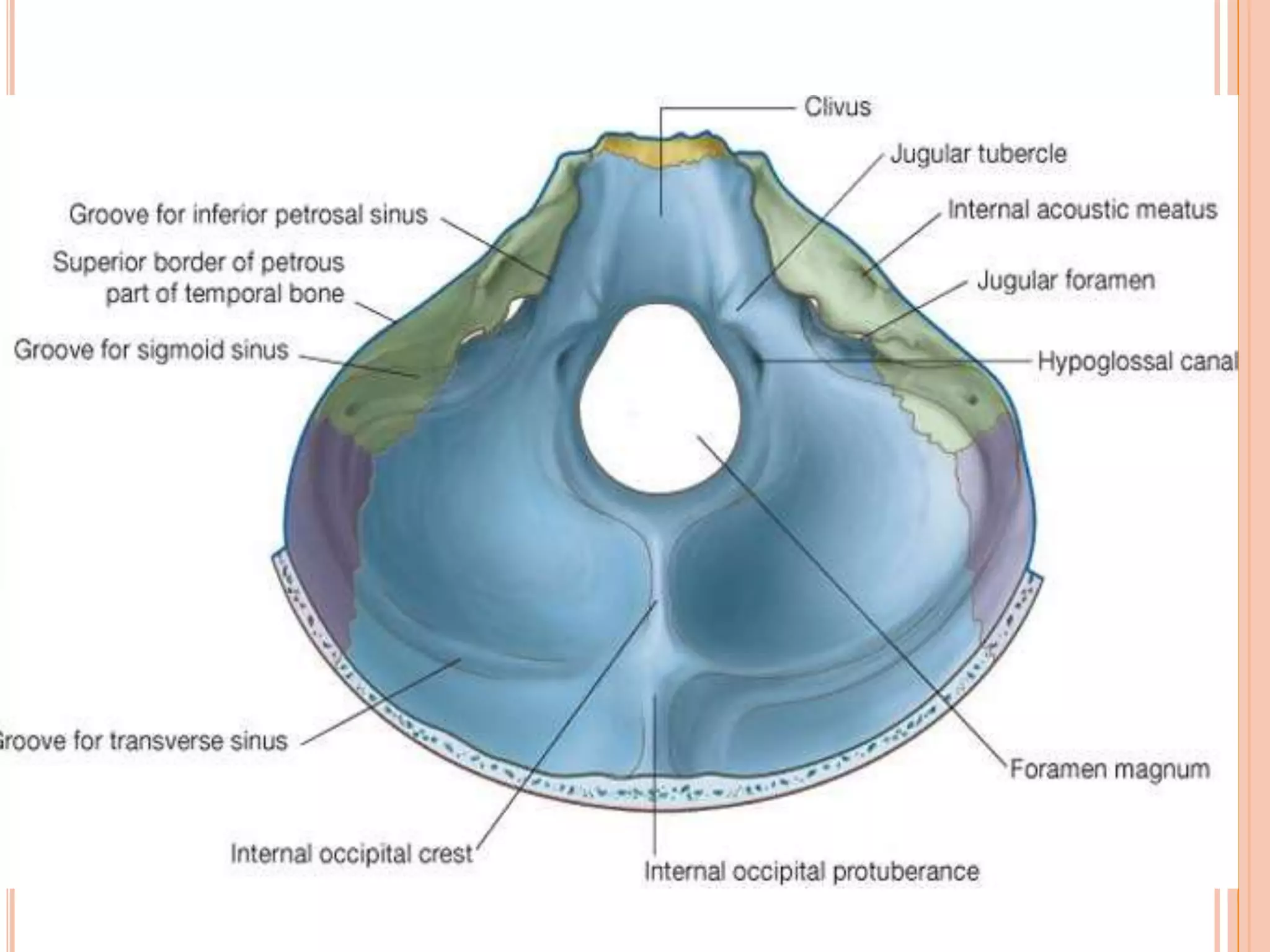 Dural venous sinuses | PPTX