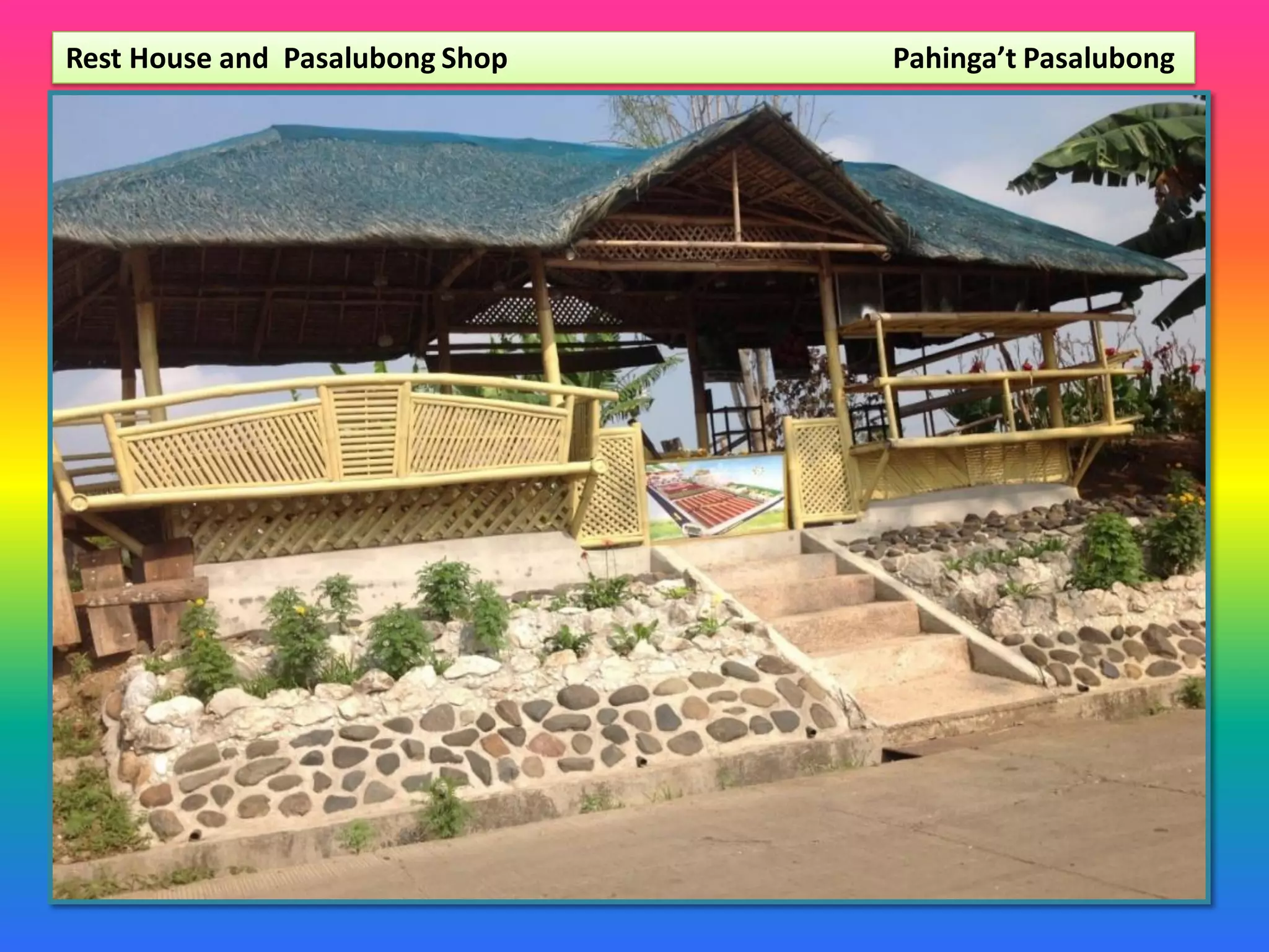 Duran Farm: The Vegetable Paradise of Bulacan | PDF