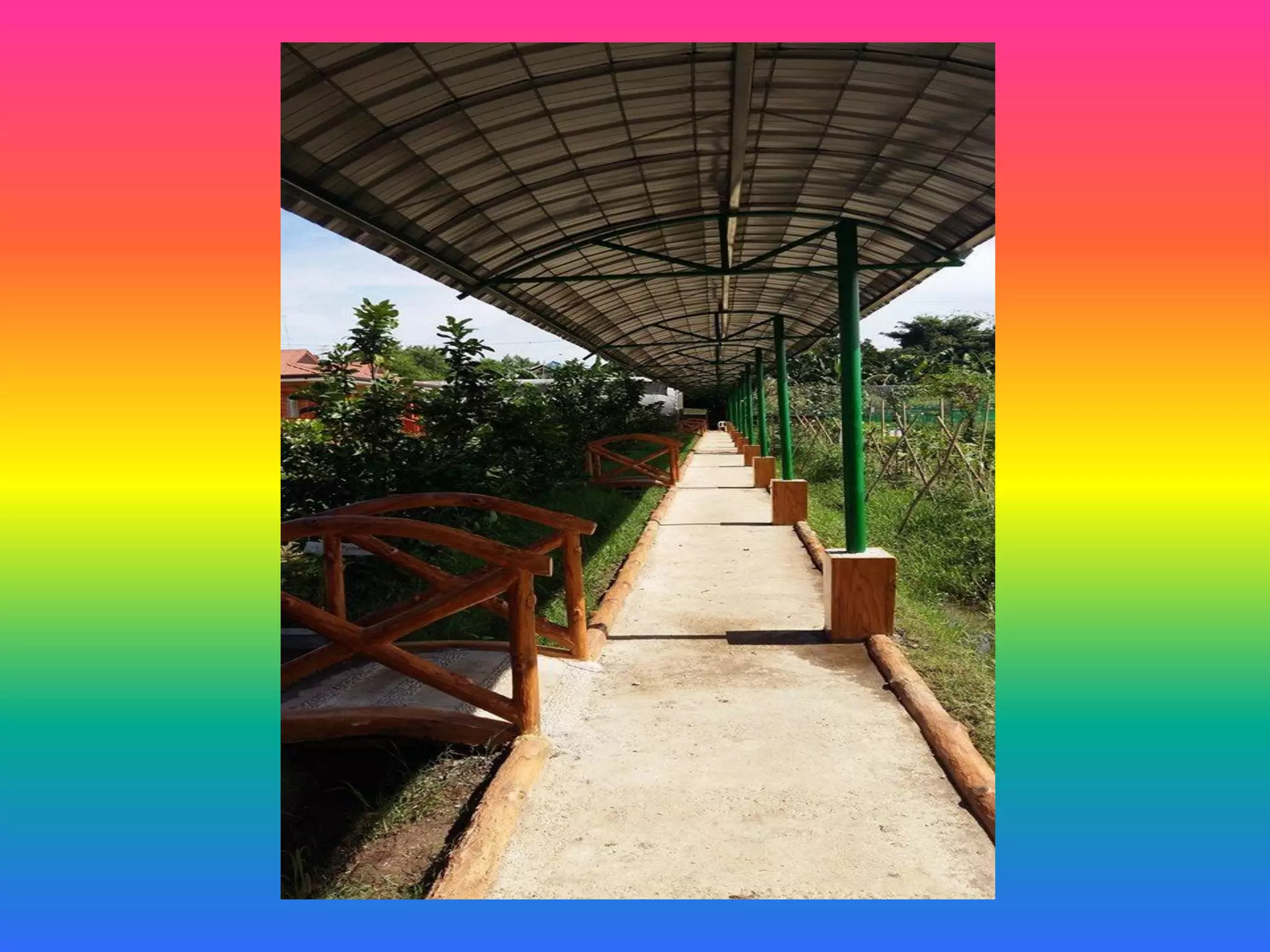 Duran Farm: The Vegetable Paradise of Bulacan | PDF