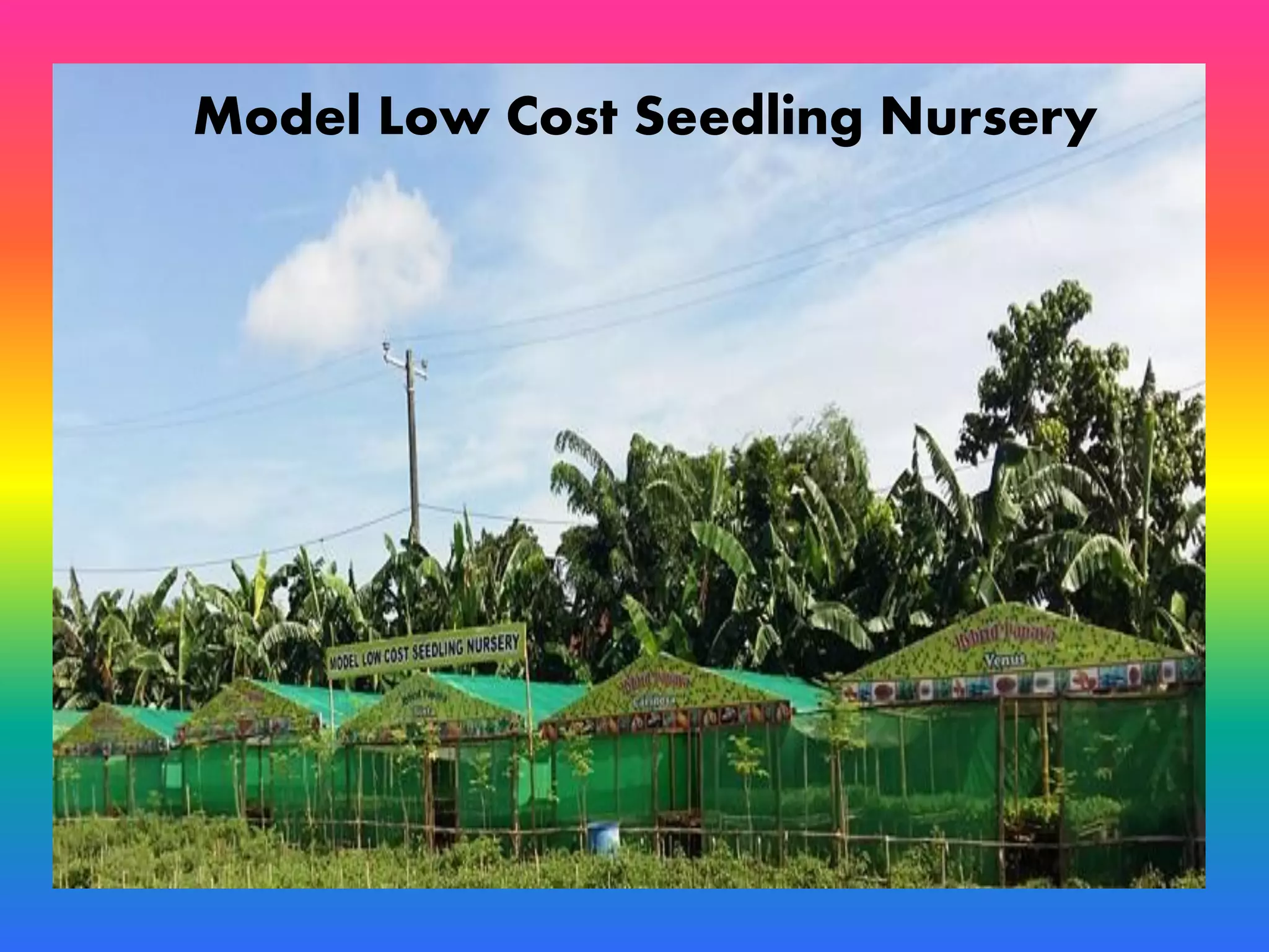 Duran Farm: The Vegetable Paradise of Bulacan | PDF