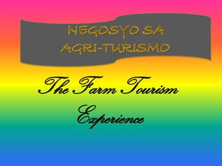 Duran Farm: The Vegetable Paradise of Bulacan | PDF