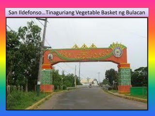 Duran Farm: The Vegetable Paradise of Bulacan | PDF