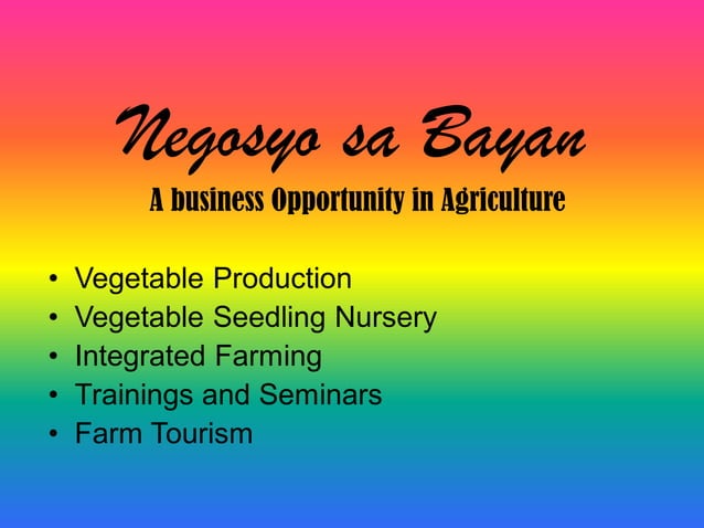 Duran Farm: The Vegetable Paradise of Bulacan | PDF