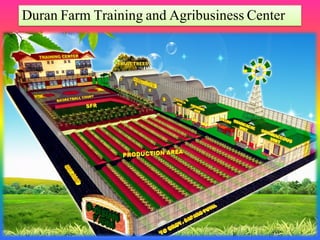 Duran Farm: The Vegetable Paradise of Bulacan | PDF
