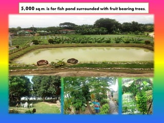 Duran Farm: The Vegetable Paradise of Bulacan | PDF
