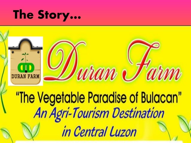 Duran Farm: The Vegetable Paradise of Bulacan | PPT