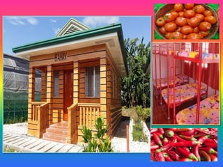 Duran Farm: The Vegetable Paradise of Bulacan | PDF