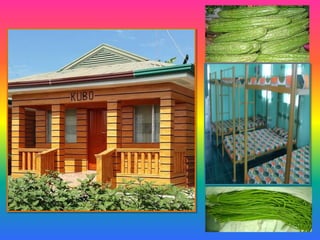 Duran Farm: The Vegetable Paradise of Bulacan | PDF