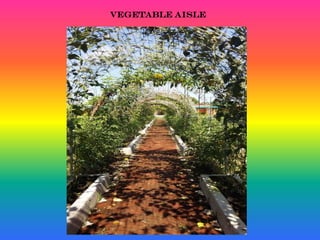 Duran Farm: The Vegetable Paradise of Bulacan | PDF