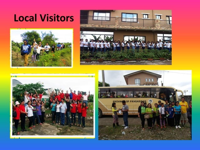 Duran Farm: The Vegetable Paradise of Bulacan | PDF