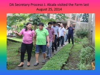 Duran Farm: The Vegetable Paradise of Bulacan | PDF