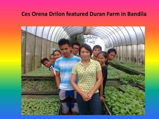 Duran Farm: The Vegetable Paradise of Bulacan | PDF