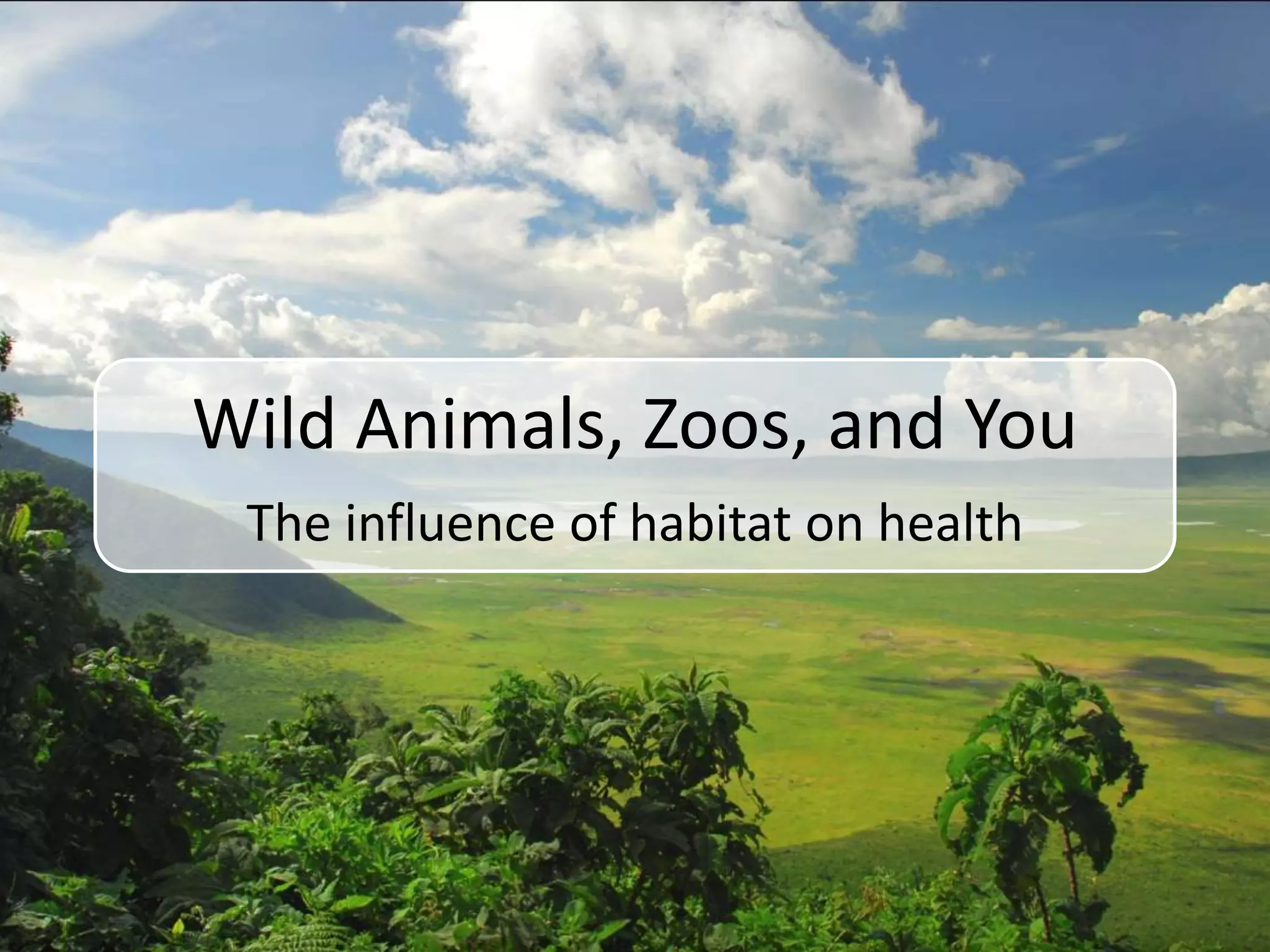 Wild Animals, Zoos, and You: The Influence of Habitat on Health (John ...