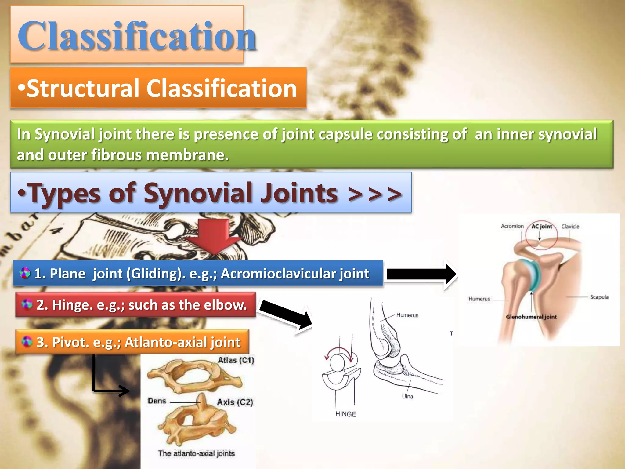 Human Joint Classification by Durba Chatterjee | PPT