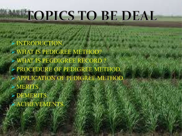 PEDIGREE METHOD OF PLANT BREEDING | PPTX | Gardening | Home & Garden