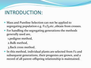 PEDIGREE METHOD OF PLANT BREEDING | PPTX