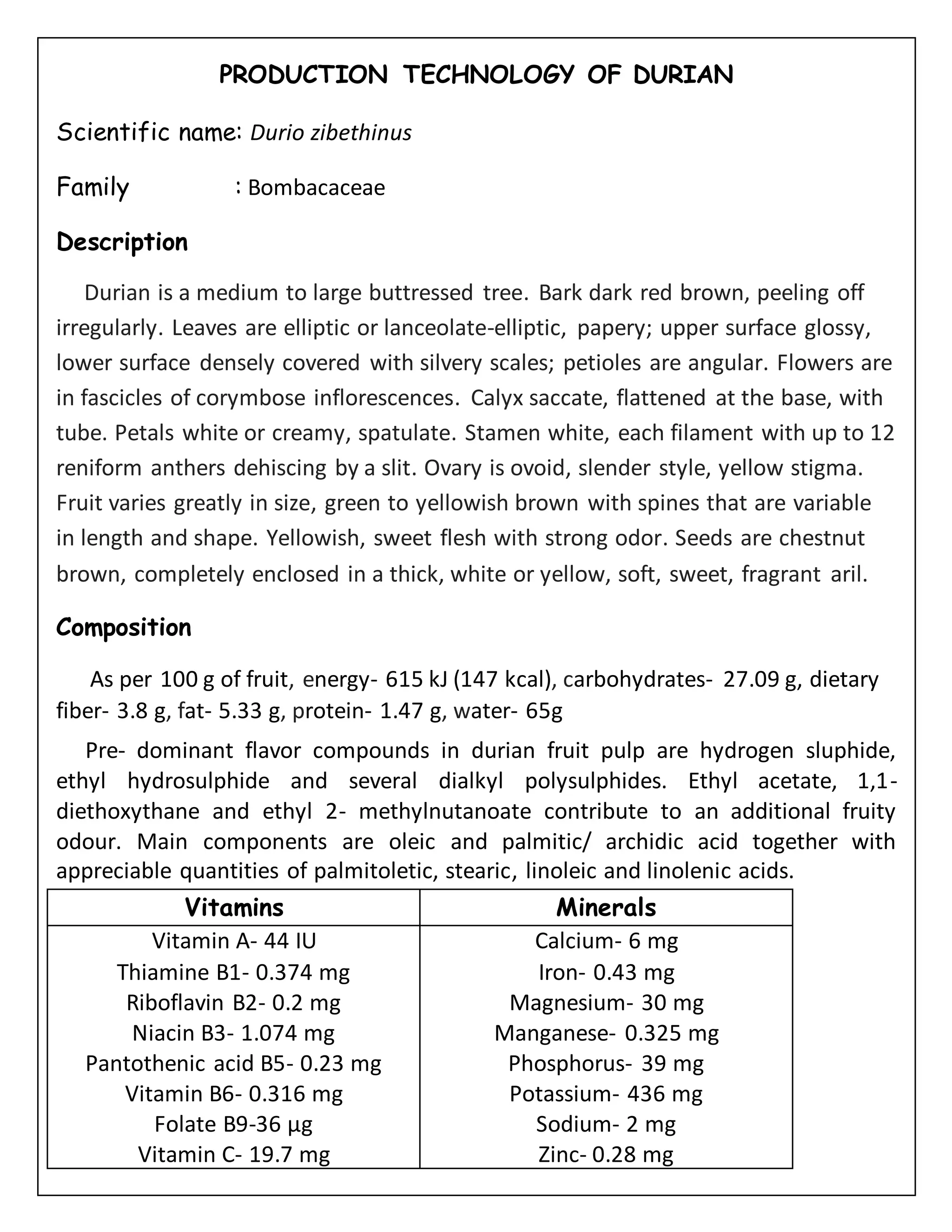 Durian | DOCX
