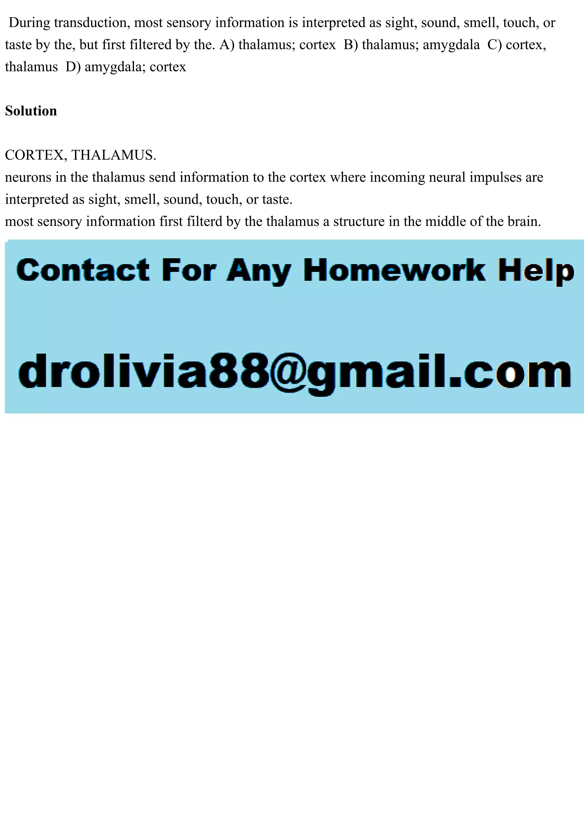 During transduction, most sensory information is interpreted as sight.pdf