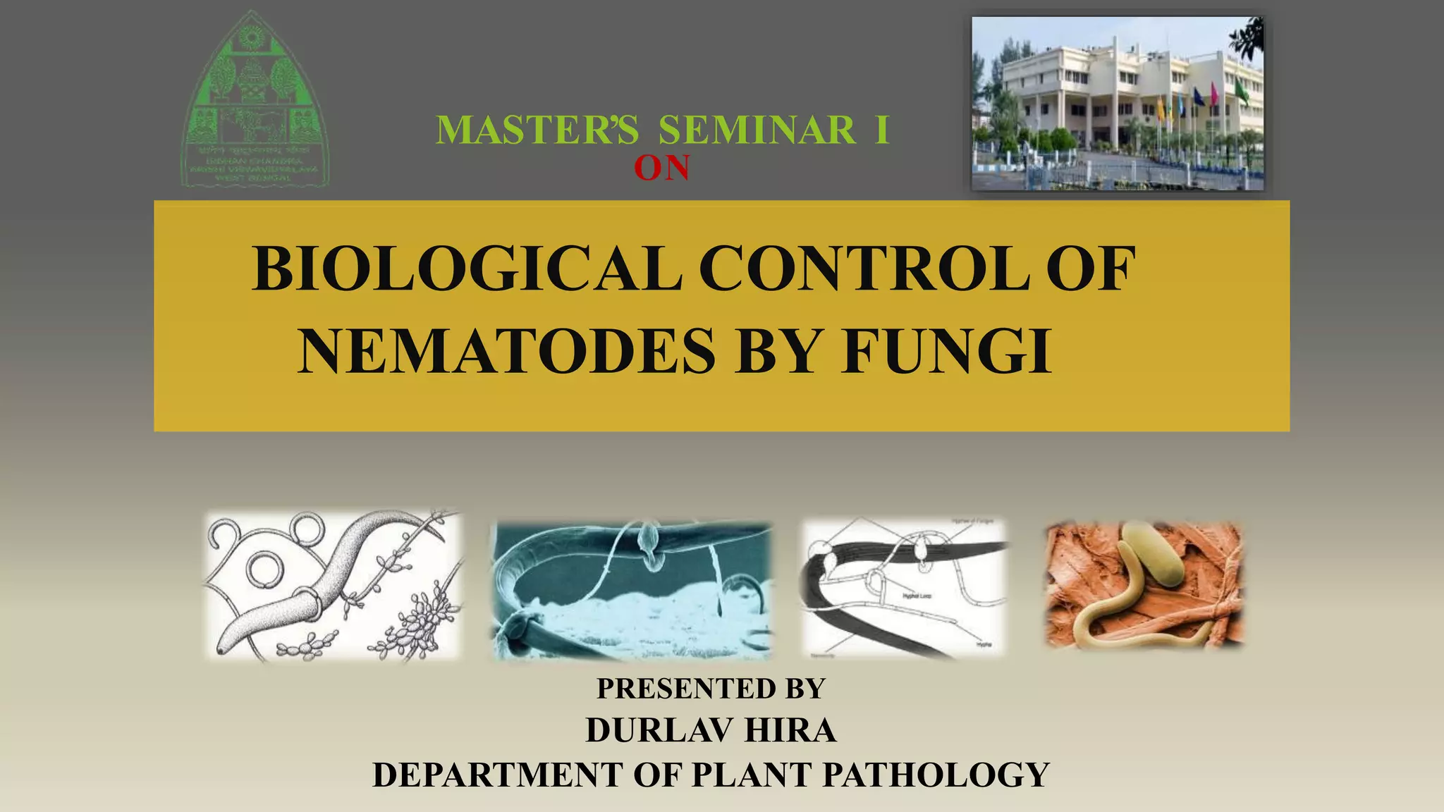 Biological Control of nematodes by fungus | PPTX