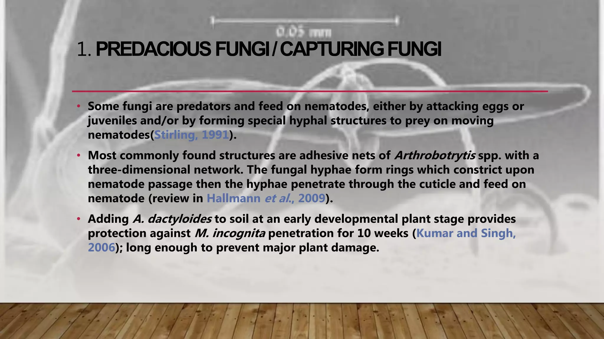 Biological Control of nematodes by fungus | PPTX