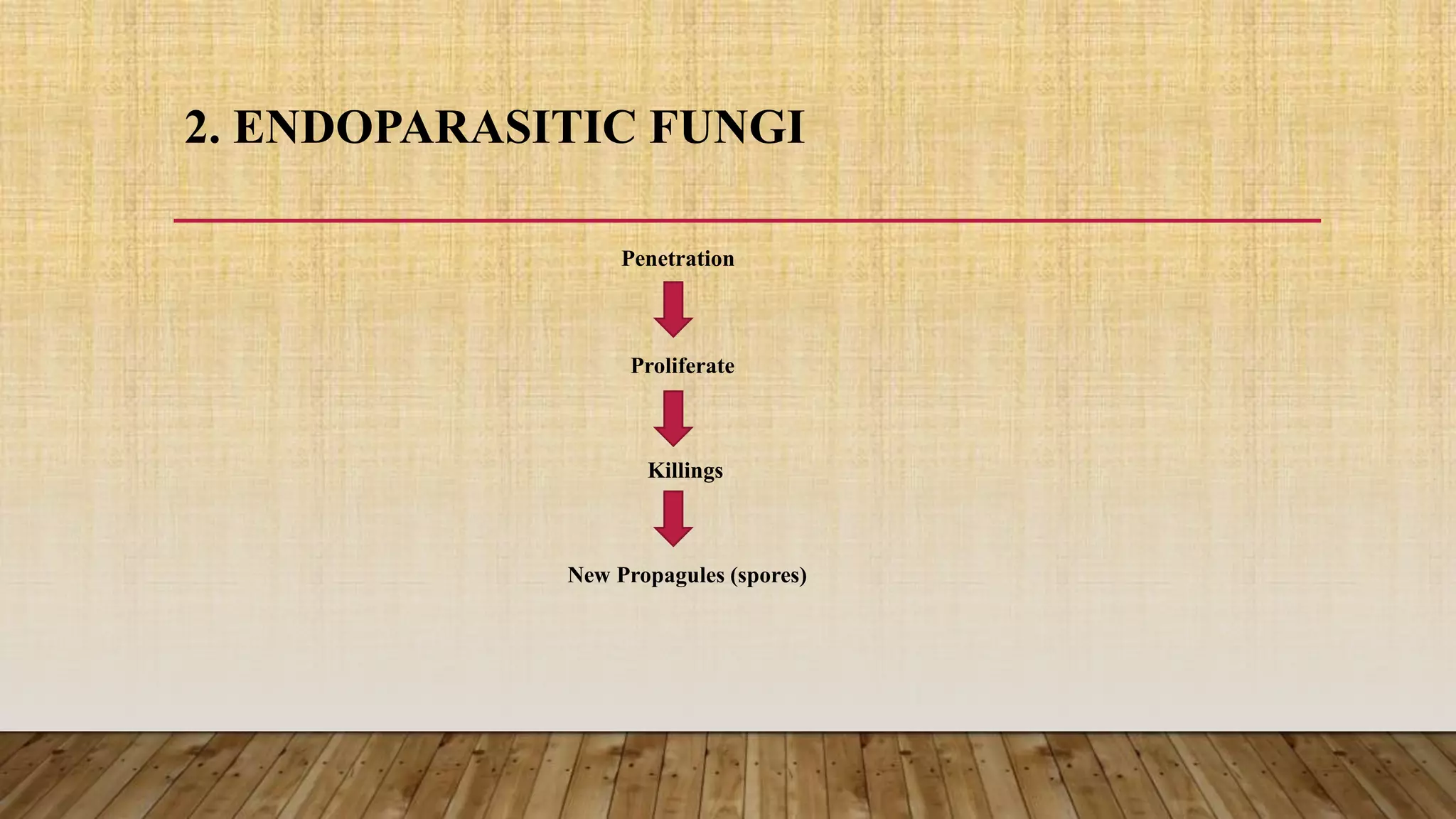 Biological Control of nematodes by fungus | PPTX