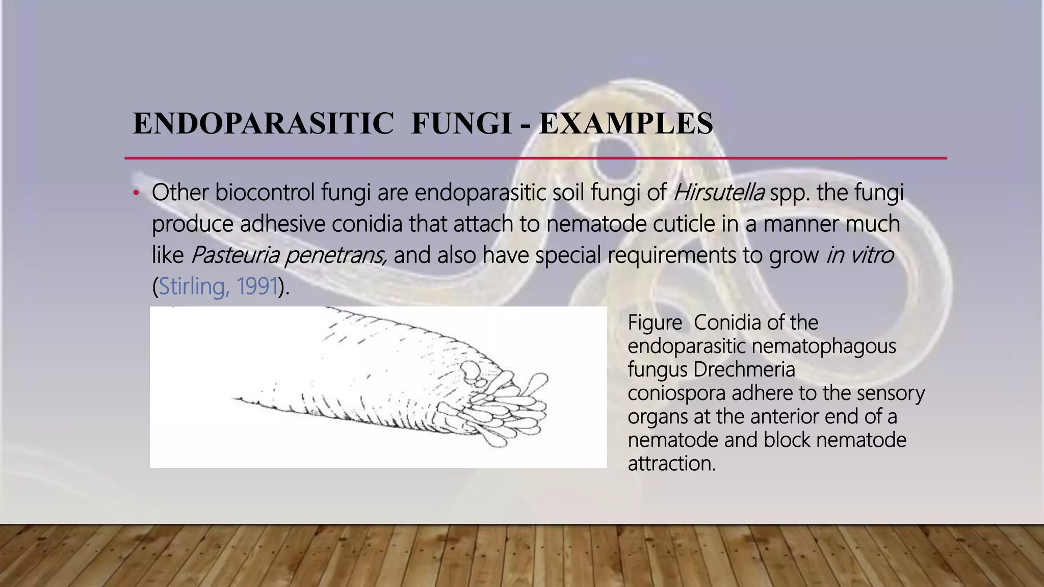 Biological Control of nematodes by fungus | PPTX