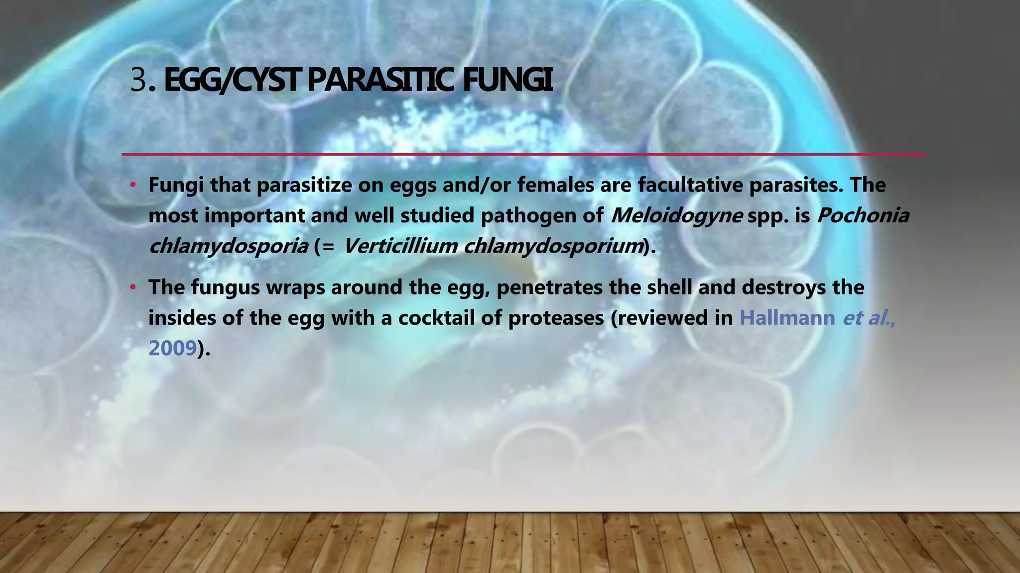 Biological Control of nematodes by fungus | PPTX