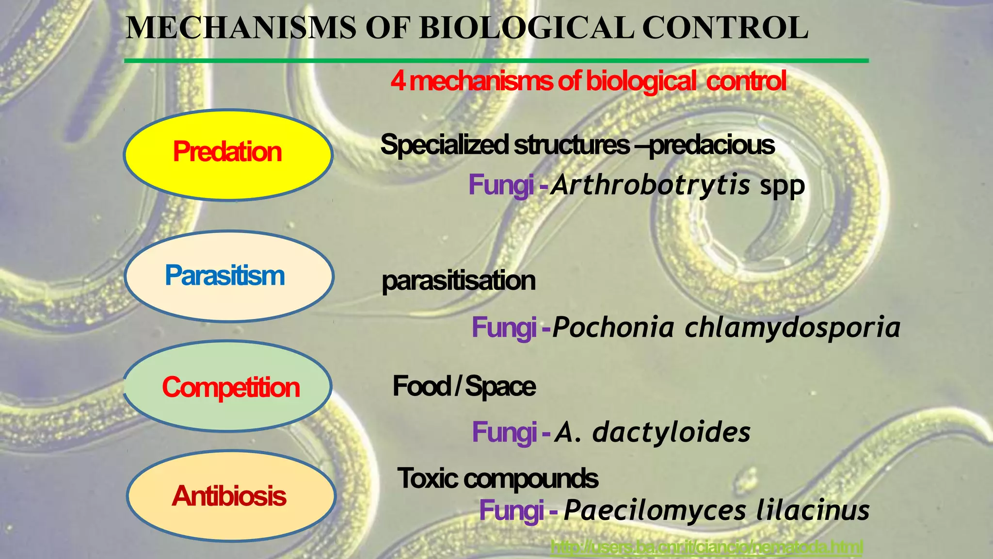 Biological Control of nematodes by fungus | PPTX