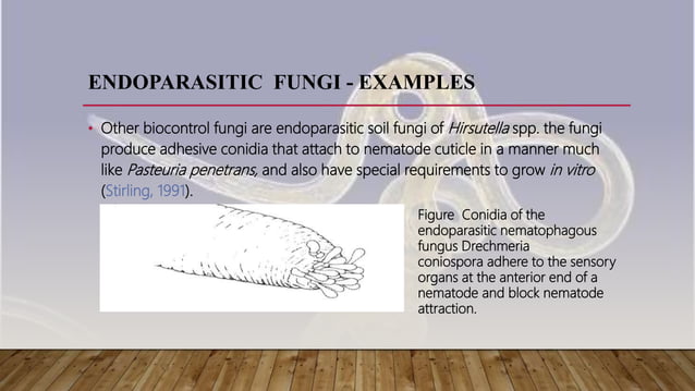 Biological Control of nematodes by fungus | PPT