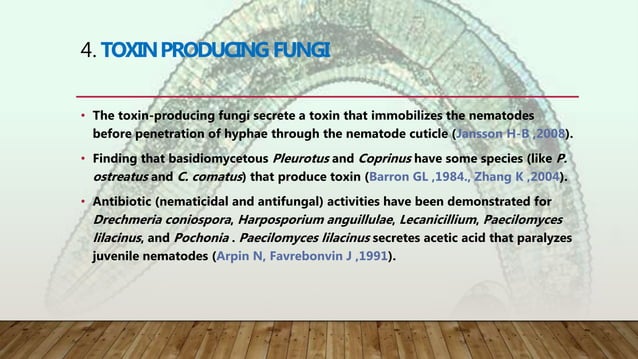 Biological Control of nematodes by fungus | PPTX