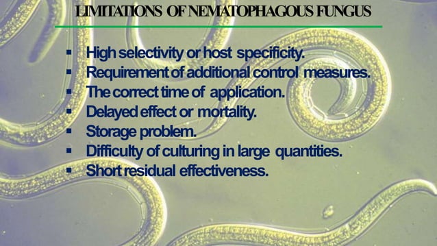 Biological Control of nematodes by fungus | PPT