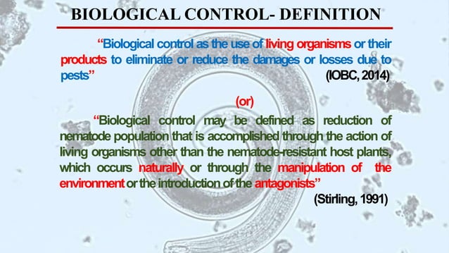 Biological Control of nematodes by fungus | PPTX