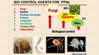 Biological Control of nematodes by fungus | PPTX