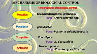 Biological Control of nematodes by fungus | PPTX