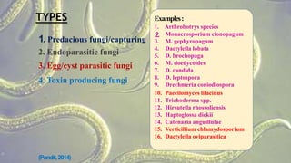 Biological Control of nematodes by fungus | PPTX