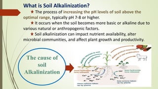 Durlov(20103402).pptx